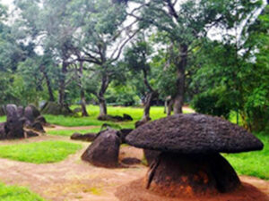 Ancient Settlements & Megalithic Monuments | NATIONAL CENTRE FOR ...